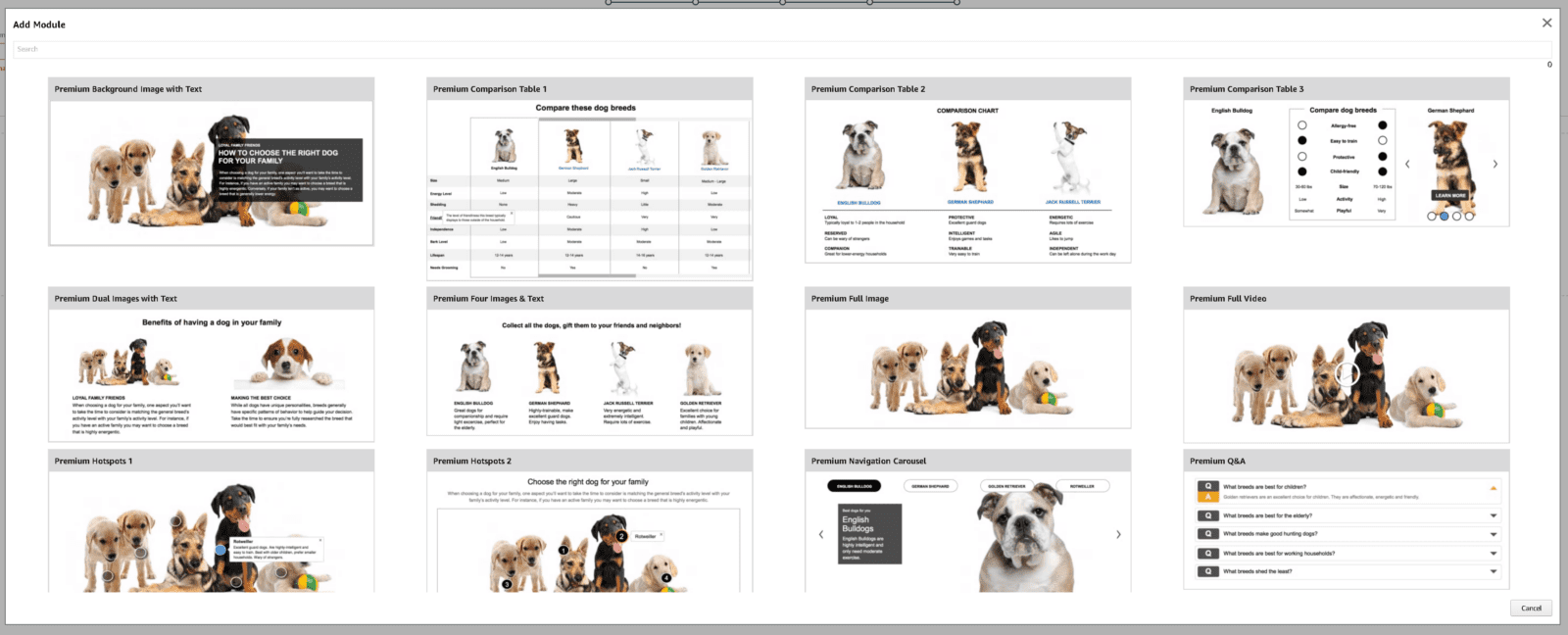 Amazon A+ Content Guidelines: What Is It | SageMailer