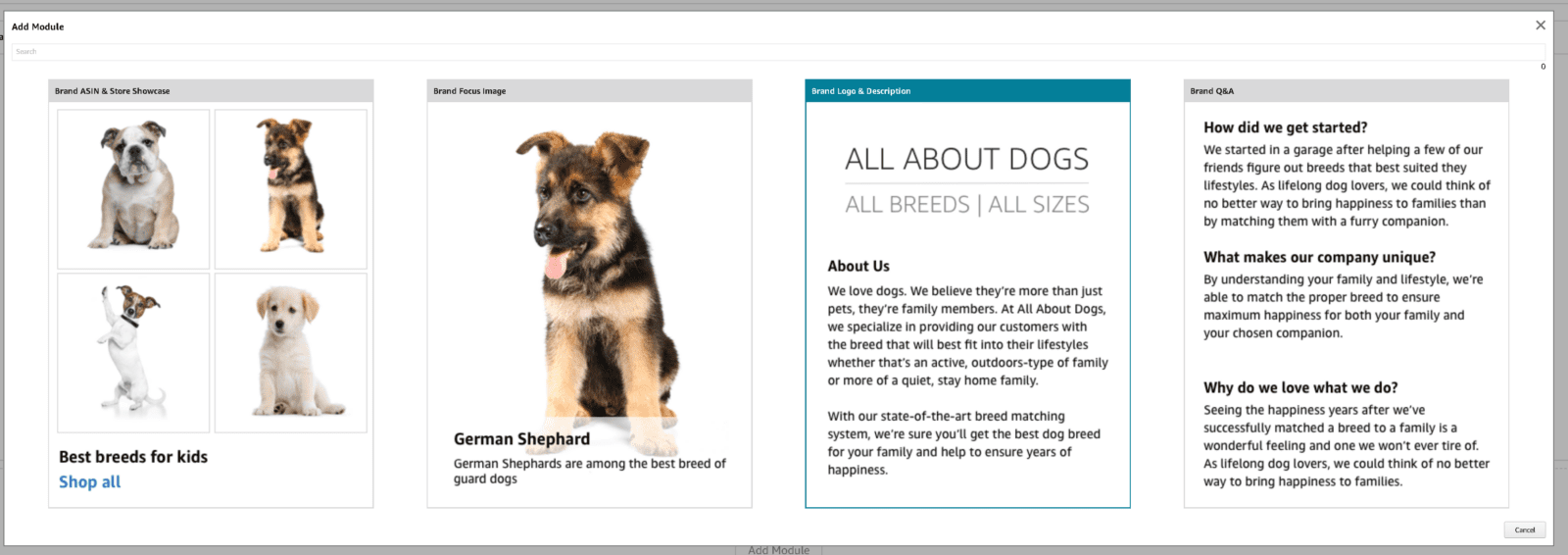 Amazon A+ Content Guidelines: What Is It | SageMailer